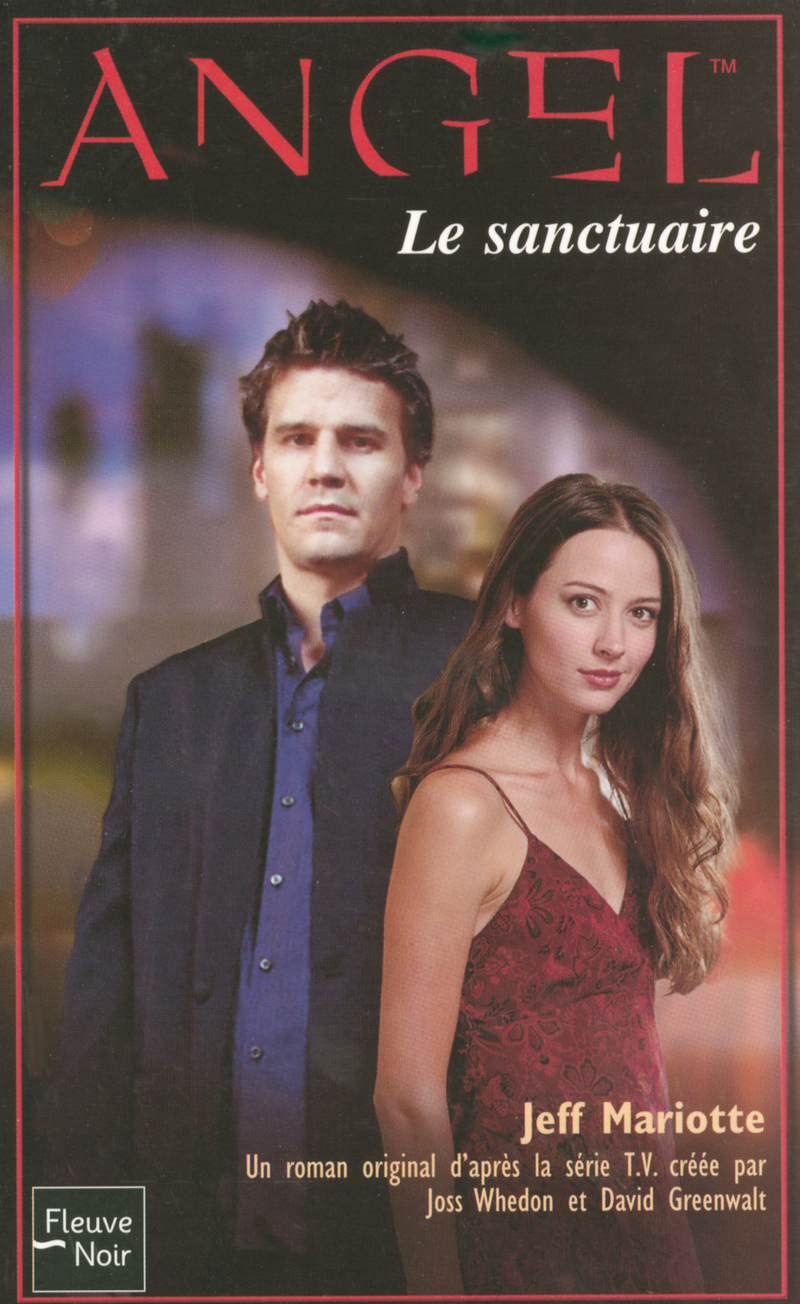Angel – Collection complète | La bibliothèque de poche